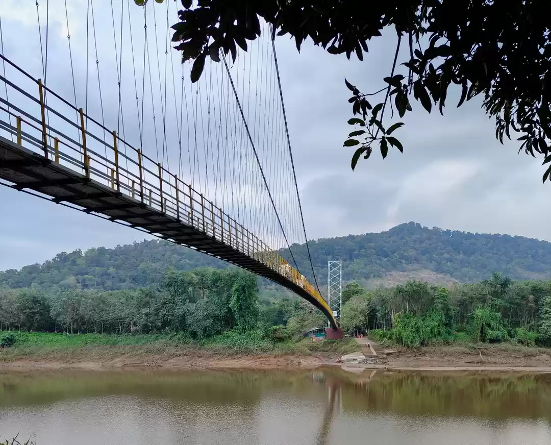hanging bridge munnar