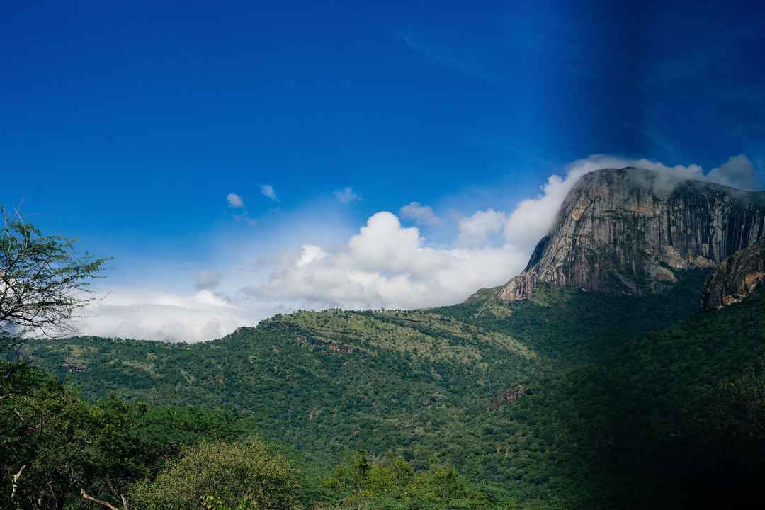 16 Places To Visit In Valparai To Make The Most Of Your Trip | Tripoto