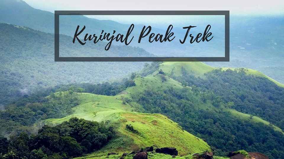 Book Kurinjal Peak, Kyatanamakki Hill Station tour packages | Tripoto