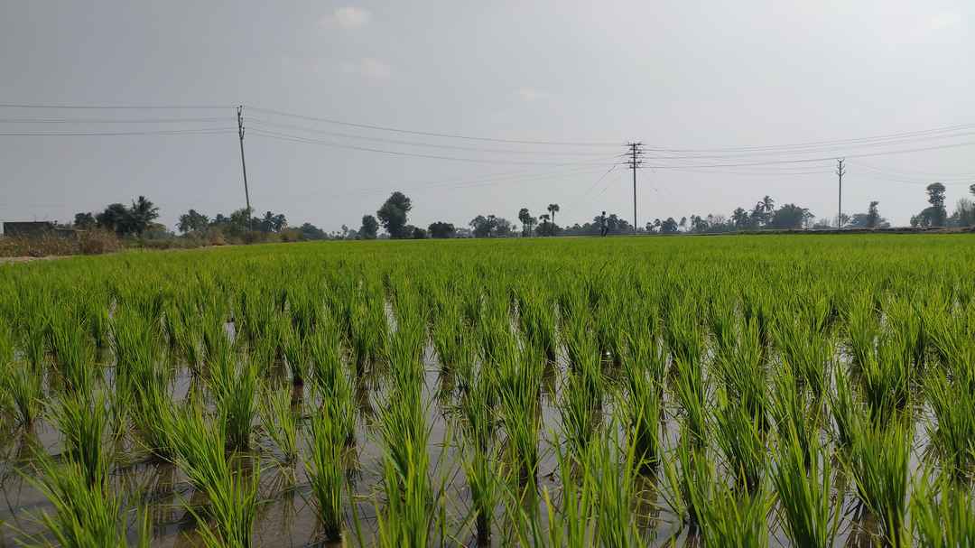 26 Places To Visit In Ranipet To Make The Most Of Your Trip | Tripoto