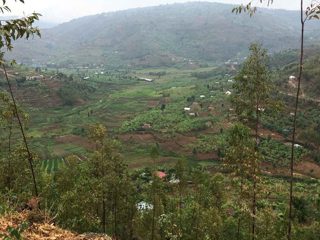 Rwanda Travel Guide 2021: Best of Rwanda Tourism | Tripoto