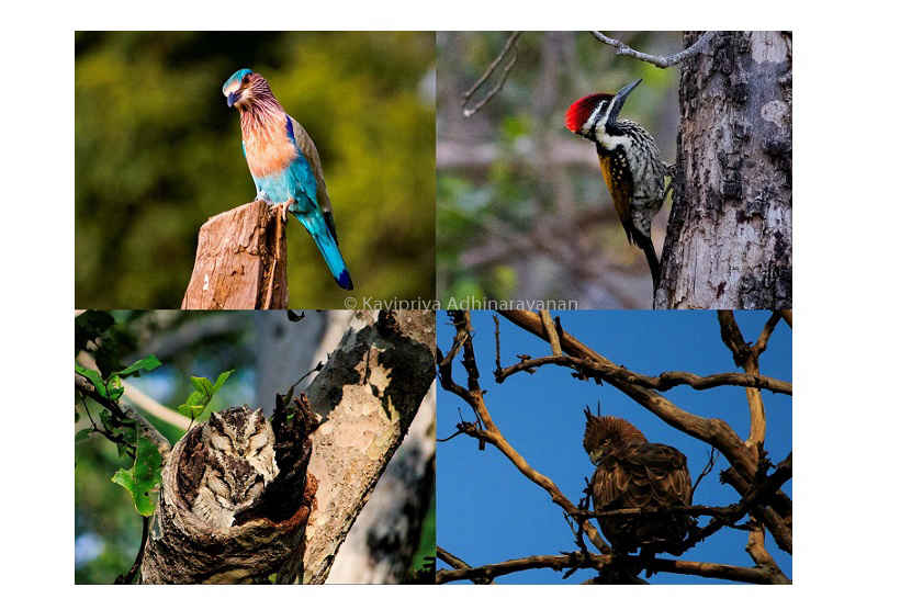 Basara Travel Guide 2023: Best of Basara Tourism | Tripoto