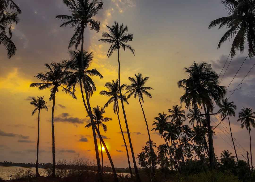 16 Places To Visit In Morjim To Make The Most Of Your Trip | Tripoto