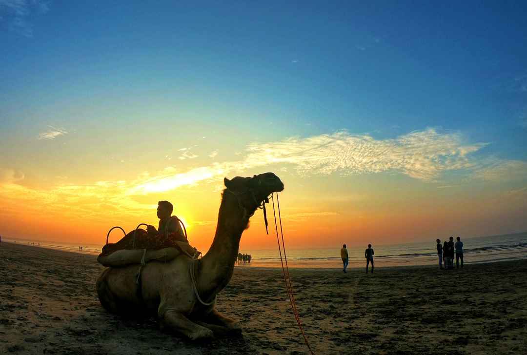 25 Places To Visit In Daman That No One Else Will Tell You About