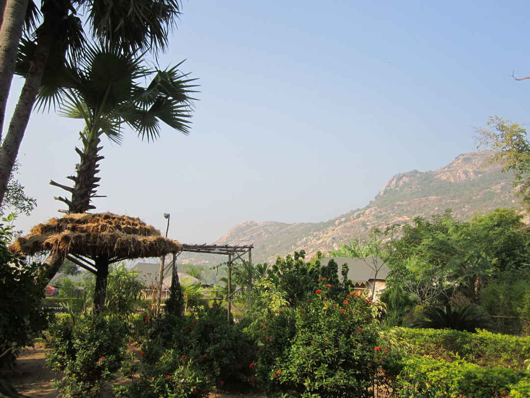 Orissa Travel Guide 2021: Best of Orissa Tourism | Tripoto