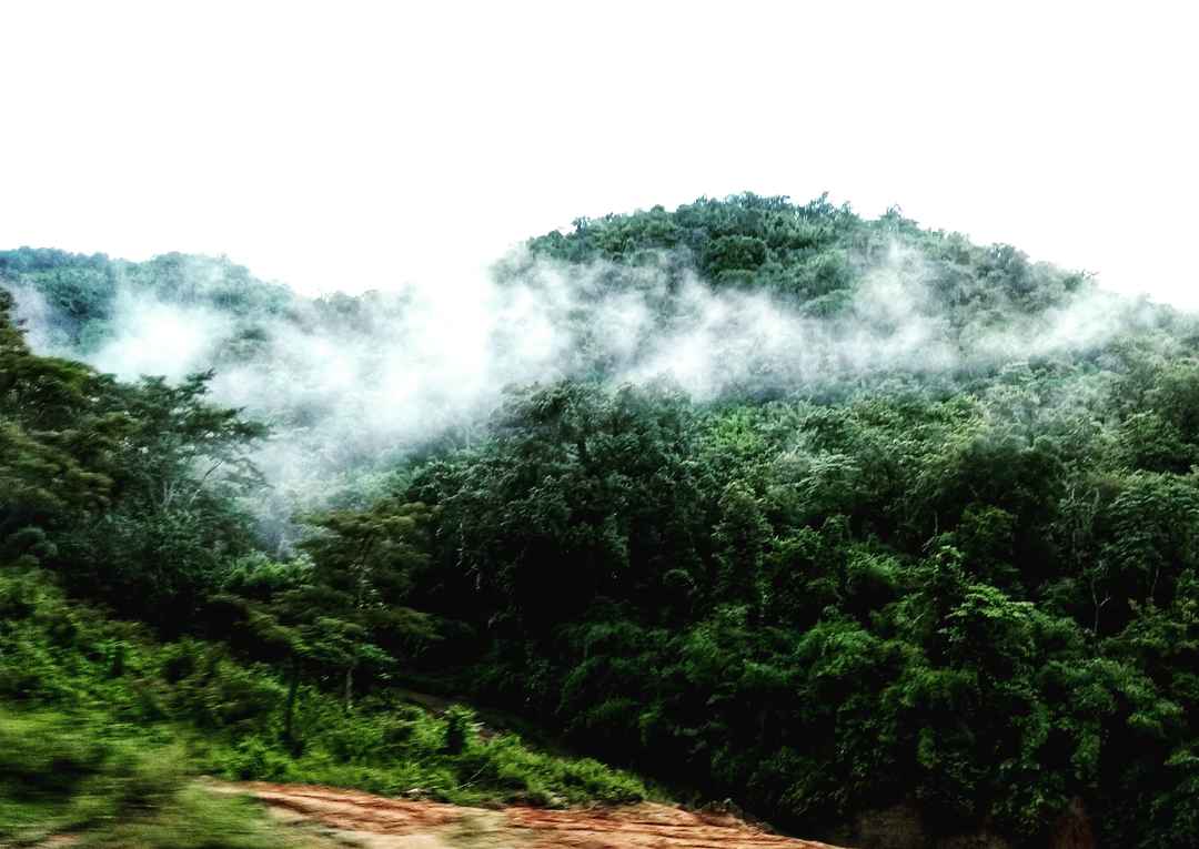 4 Places To Visit In Haflong To Make The Most Of Your Trip | Tripoto