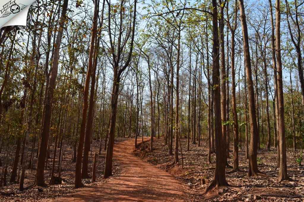 11 Popular Places To Visit In Dandeli For A Weekend Getaway In 2020