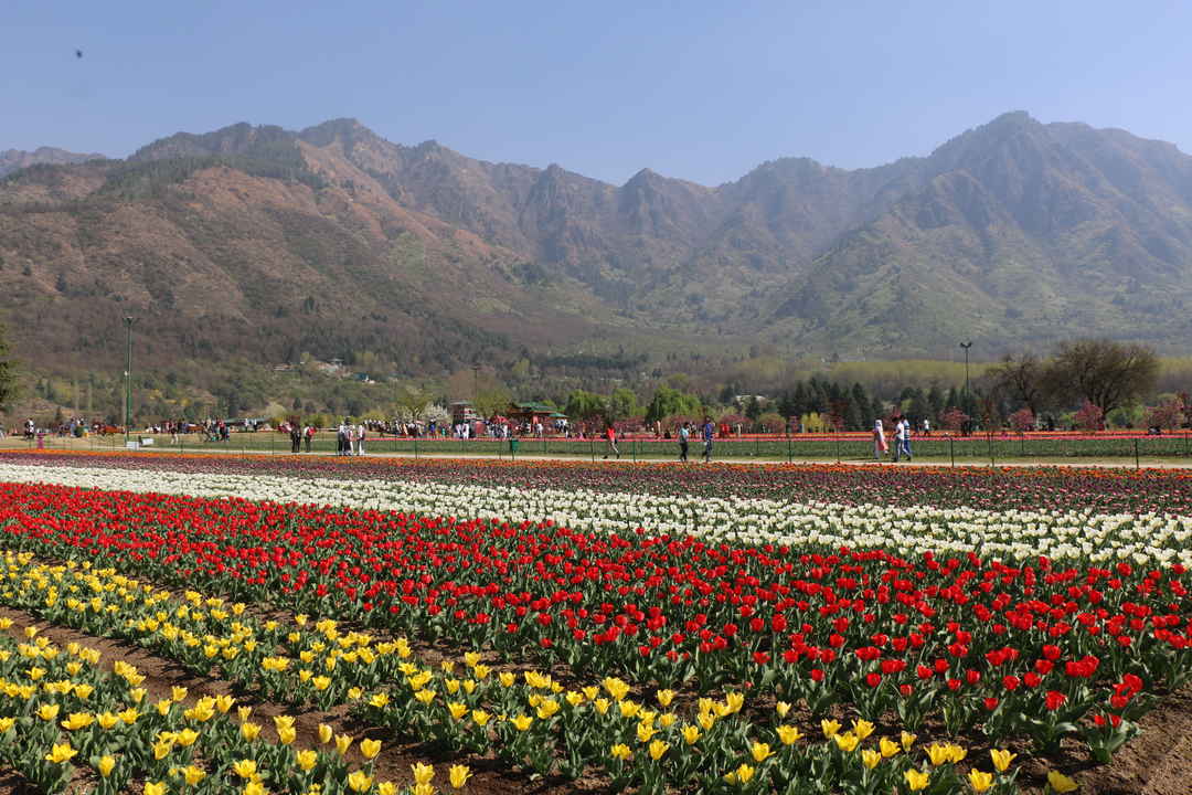 60 Places To Visit In Srinagar That'll Convince You It Is Truly Paradise