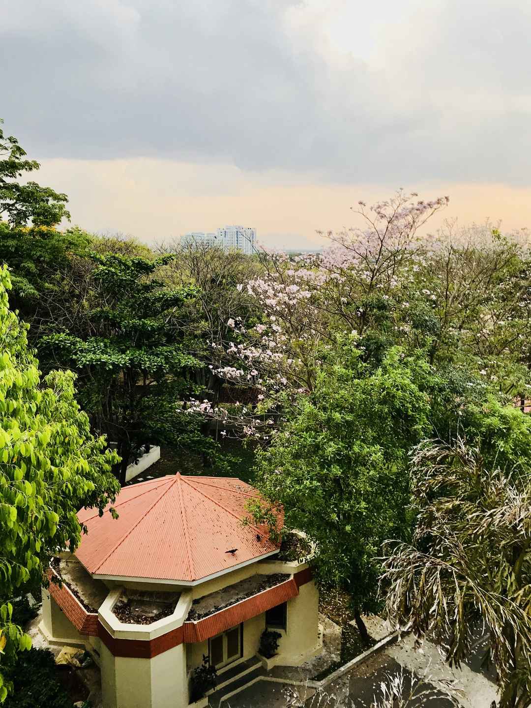 Ranipet Travel Guide 2022: Best of Ranipet Tourism | Tripoto