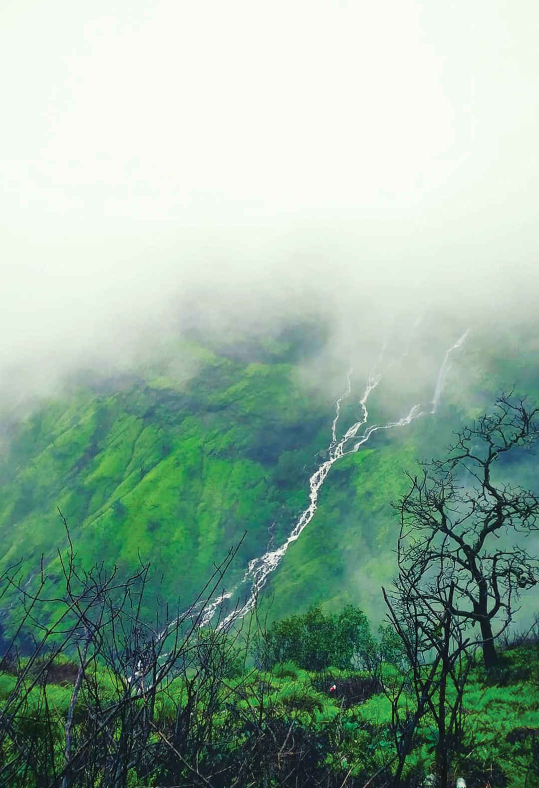 Matheran Travel Guide 2023: Best of Matheran Tourism | Tripoto