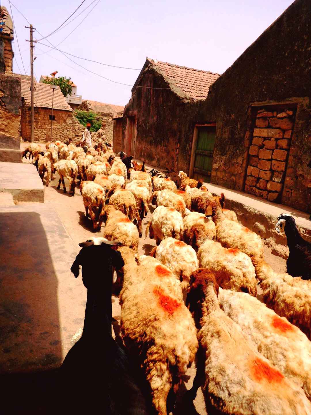 27 Places To Visit In Veraval To Make The Most Of Your Trip | Tripoto