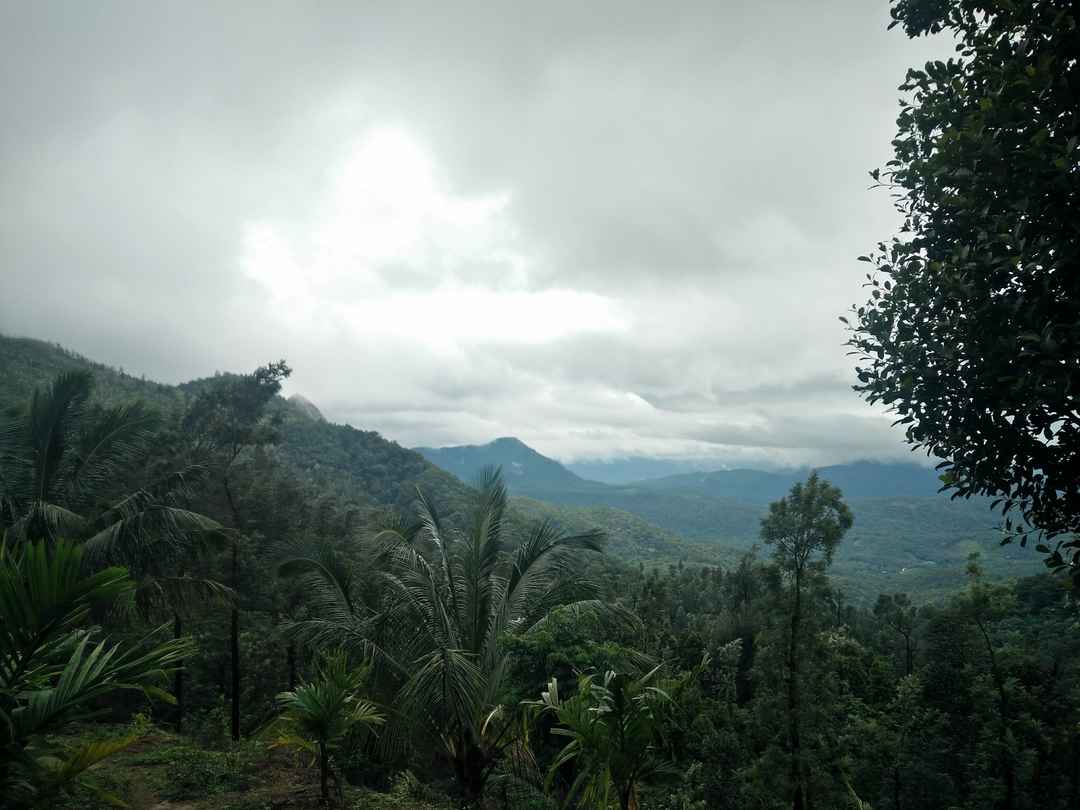 Ponmudi Travel Guide 2022: Best of Ponmudi Tourism | Tripoto