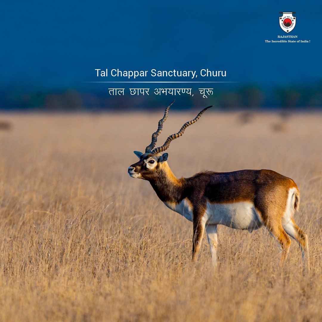 11 Places To Visit In Churu To Make The Most Of Your Trip | Tripoto